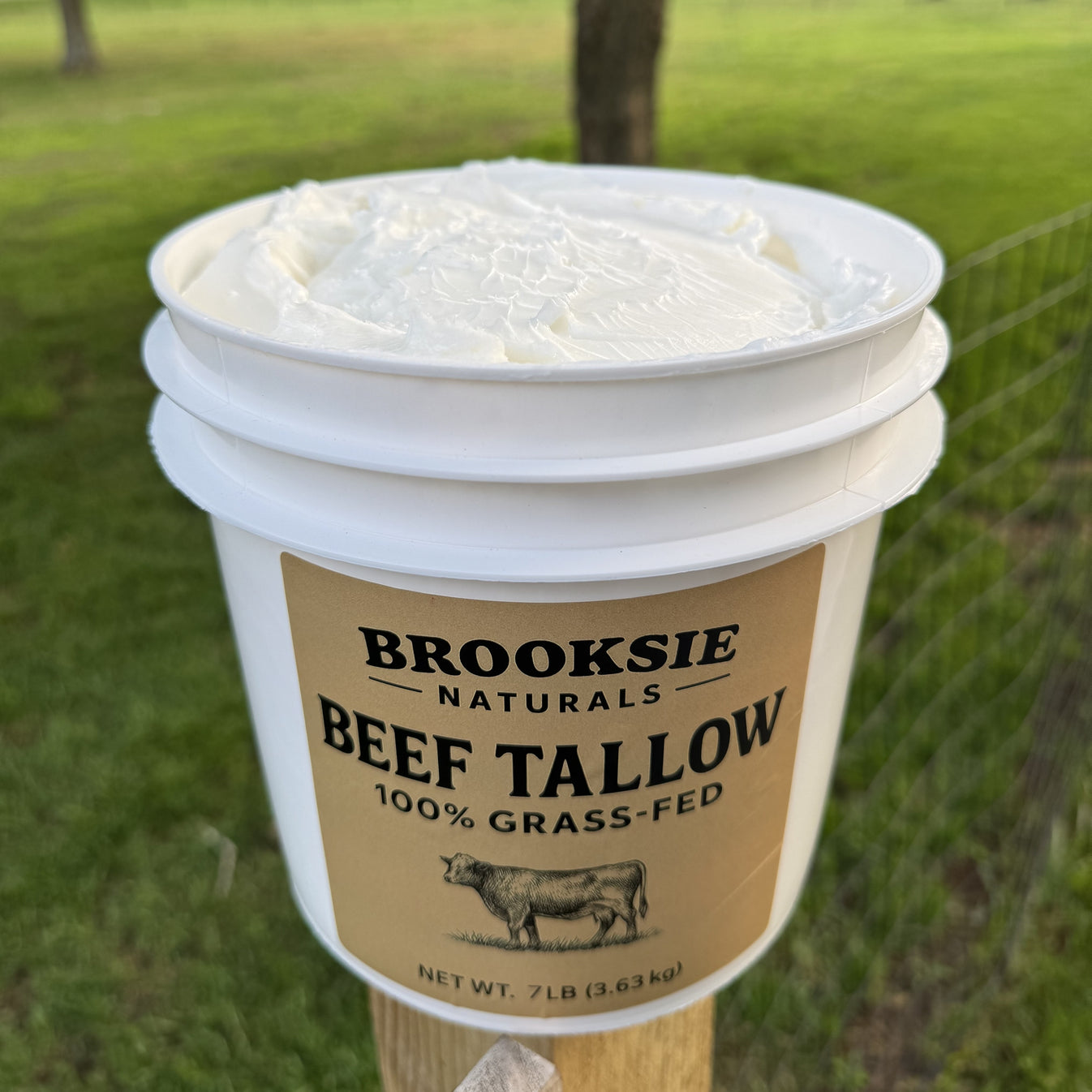 100% Pure Grass Fed Beef Tallow Rendered Bulk | No Additives | Chemica ...